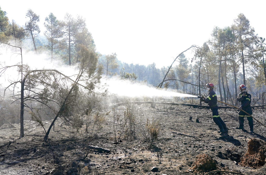 Spanish wildfire shocks experts | News, Sports, Jobs - Altoona Mirror